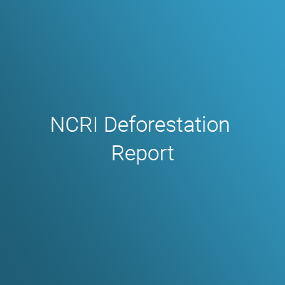 NCRI Deforestation Report | ISS